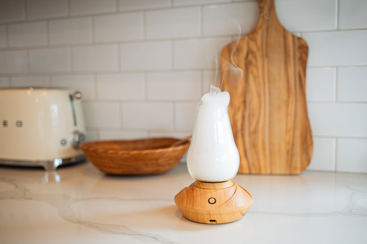 Žijte s námi Zenco Life | Weedtah by Canna Roomz